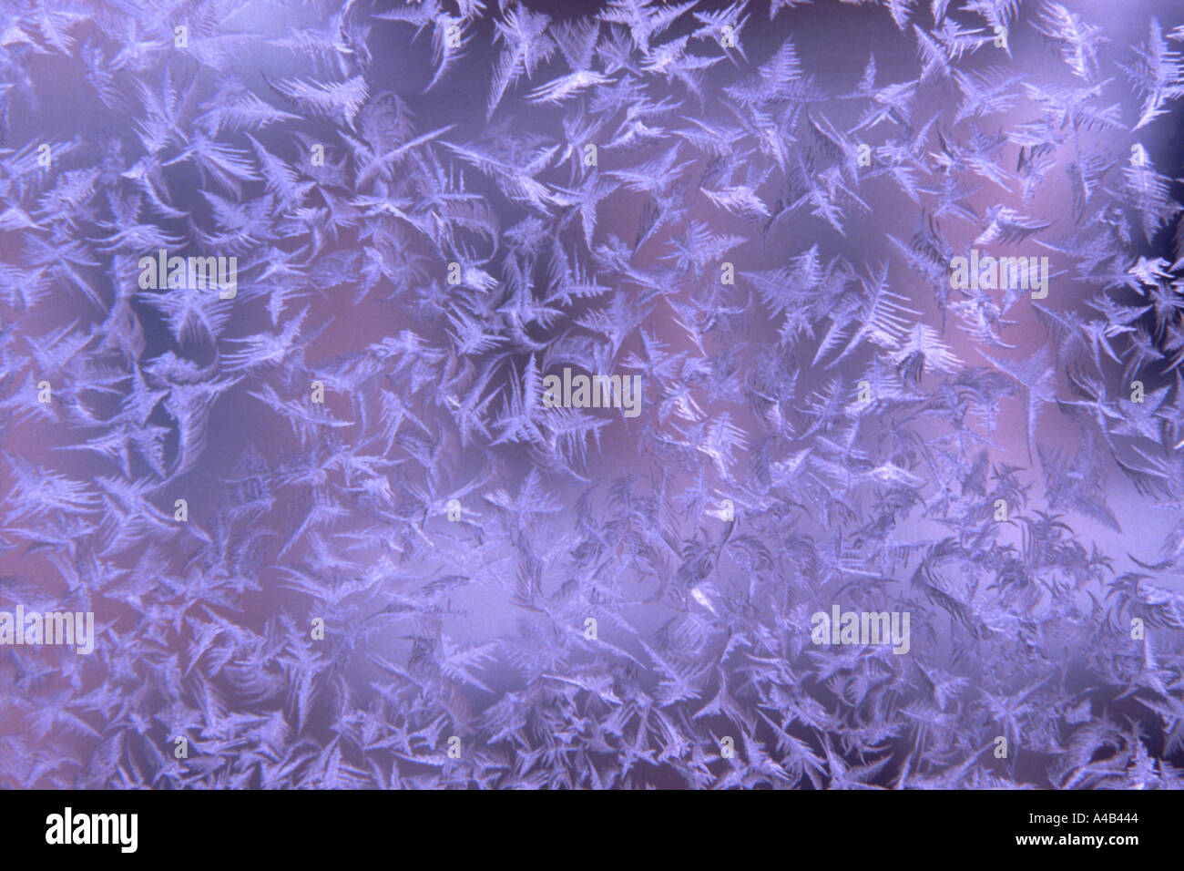 Frosted window pane Stock Photo - Alamy