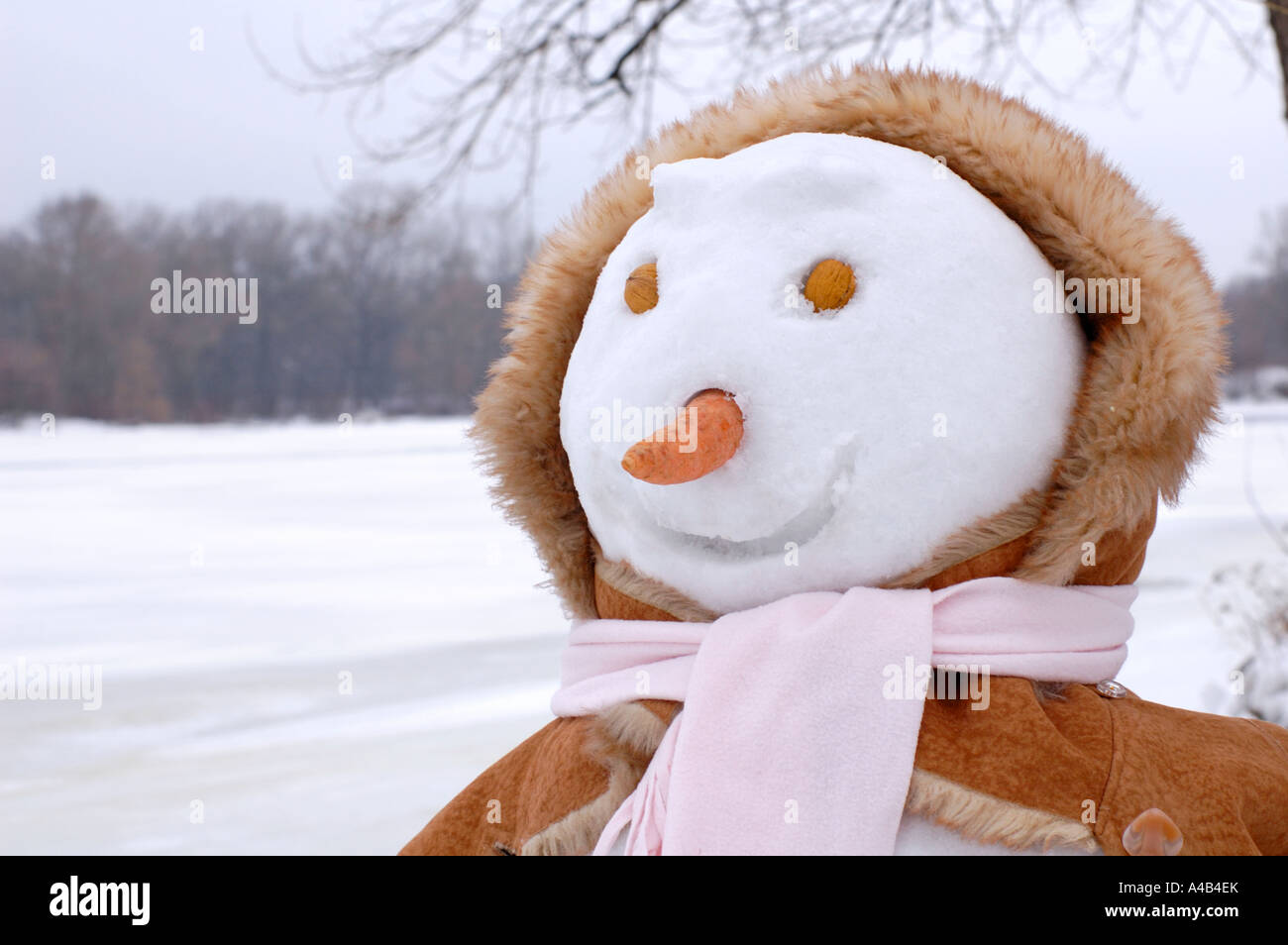 Snowman in Fur Coat Stock Photo - Alamy