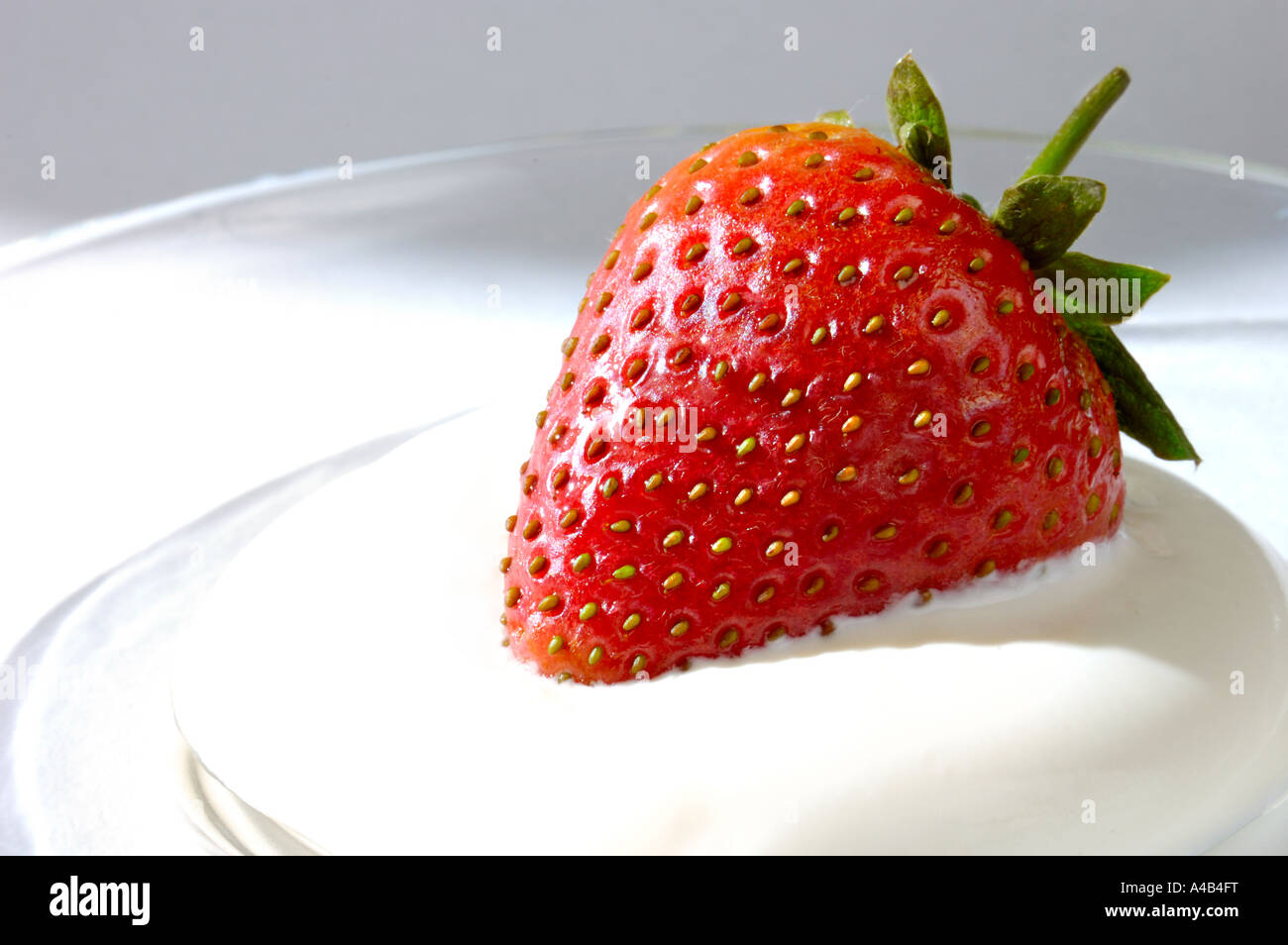 Strawberry in cream Stock Photo - Alamy