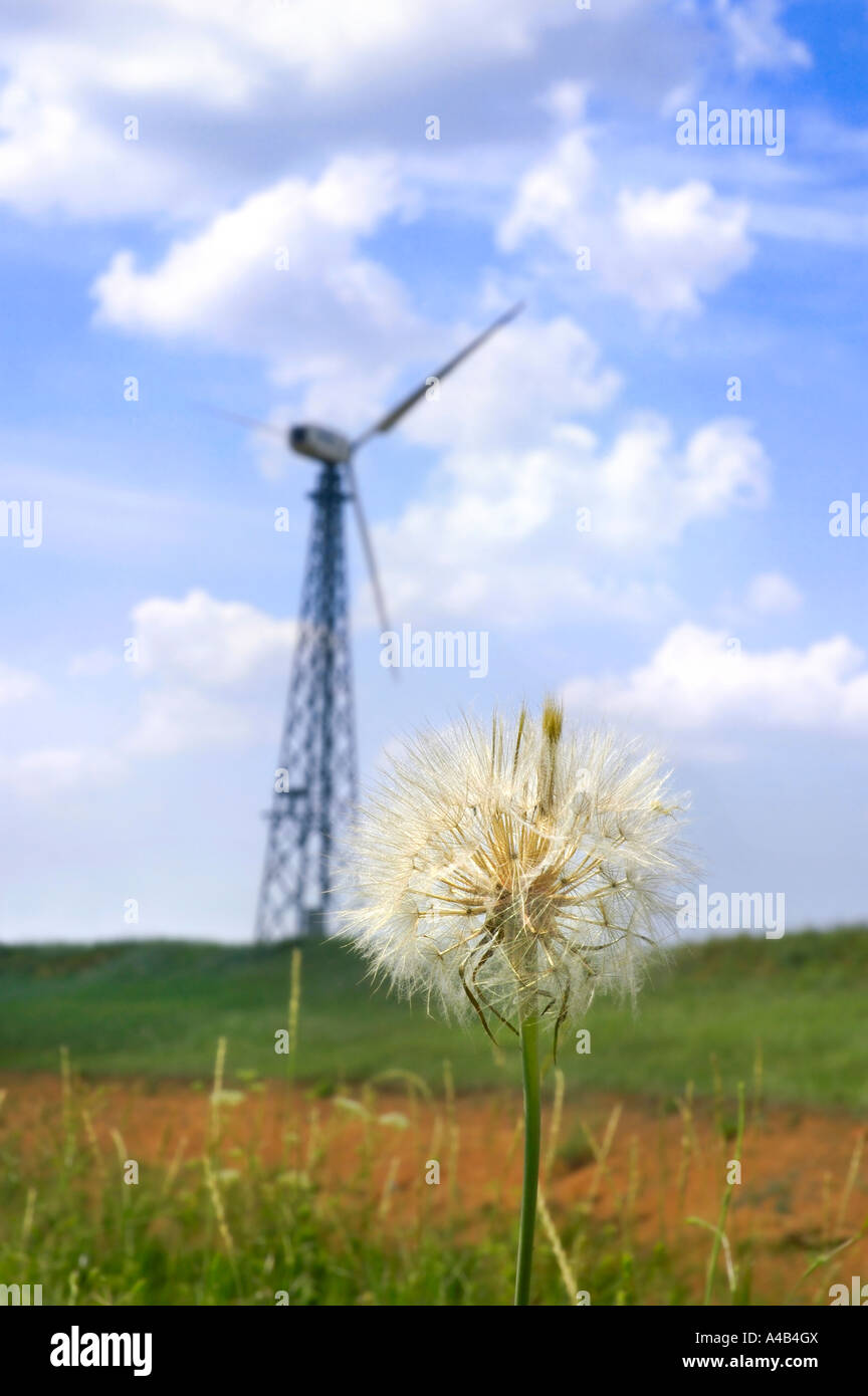 Dandelion wind turbine hi-res stock photography and images - Alamy