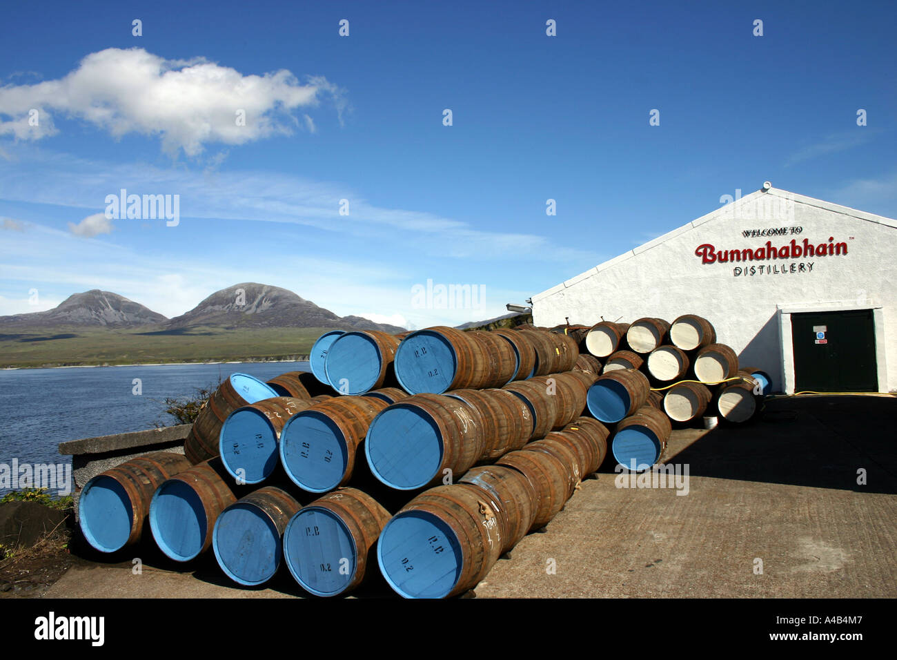 Whisky Barrels on Islay, Scottish Whisky Distillery Stock Photo - Alamy