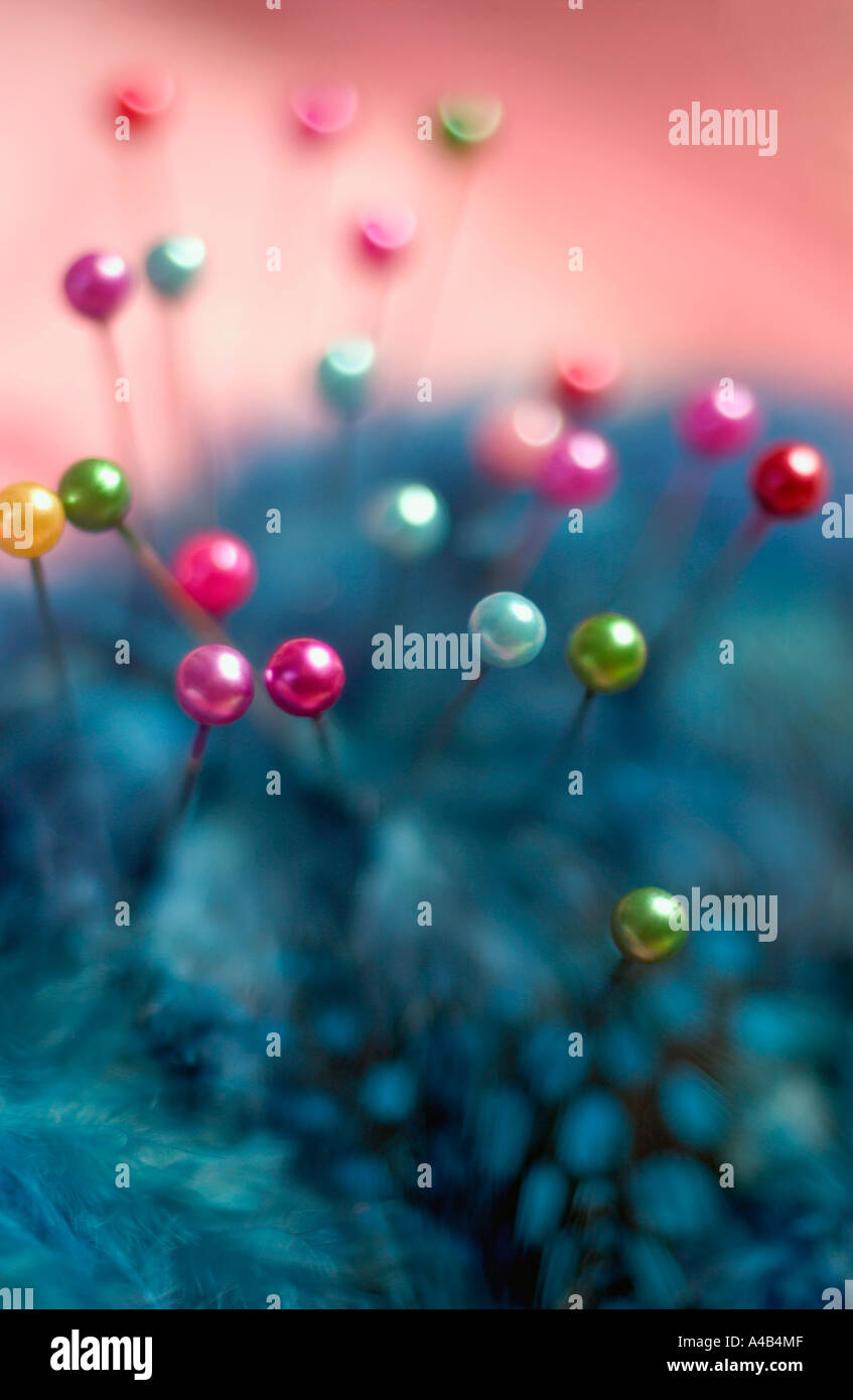 Pin feathers hi-res stock photography and images - Alamy