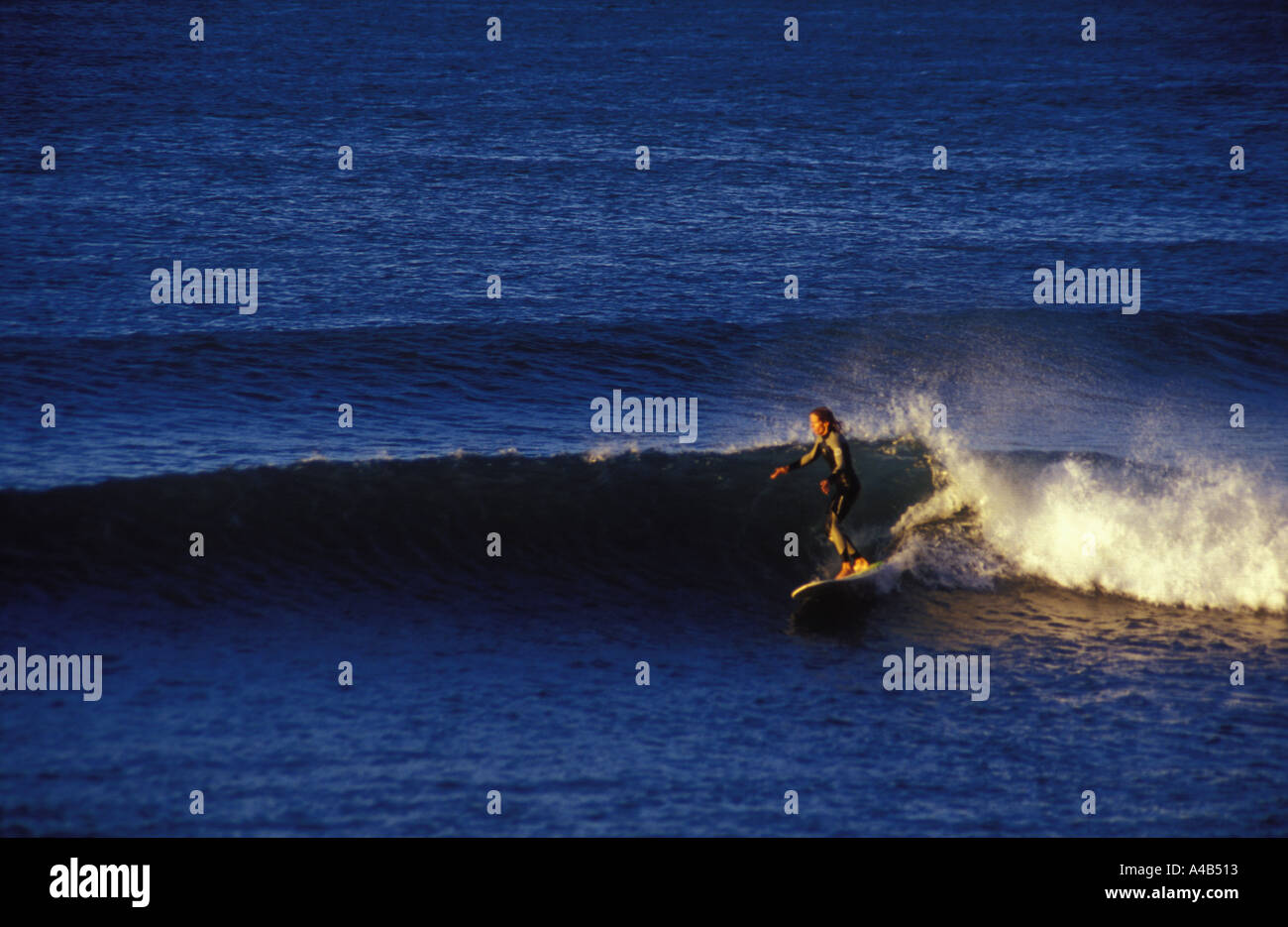 Female longboard surfer Stock Photo - Alamy