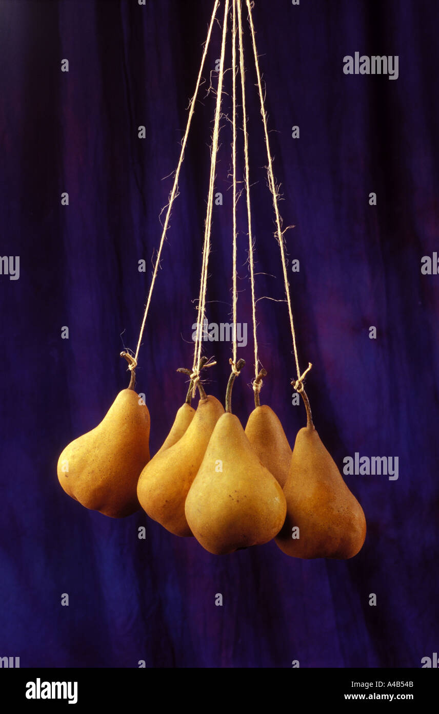 pears hanging from string Stock Photo - Alamy
