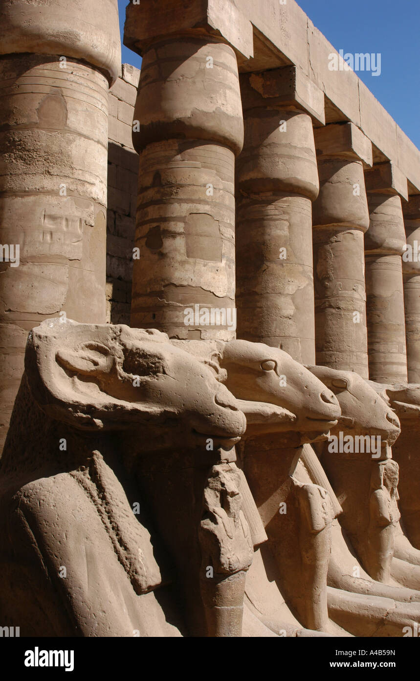 Ram-headed sphinxes in the forecourt of the Temple of Amun in Karnak ...