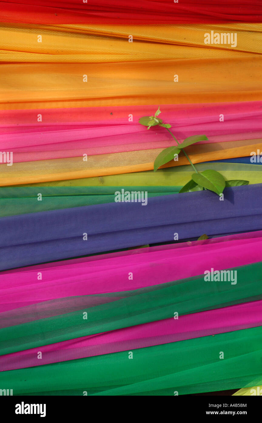 Buddhist sacred tree wrapped in ribbons in Nakhon Pathom, Thailand ...