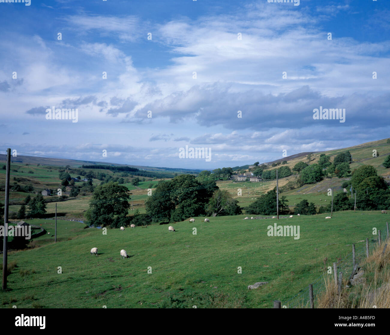 Hill farming, Spartylea, Allendale, Northumberland, England, UK Stock ...