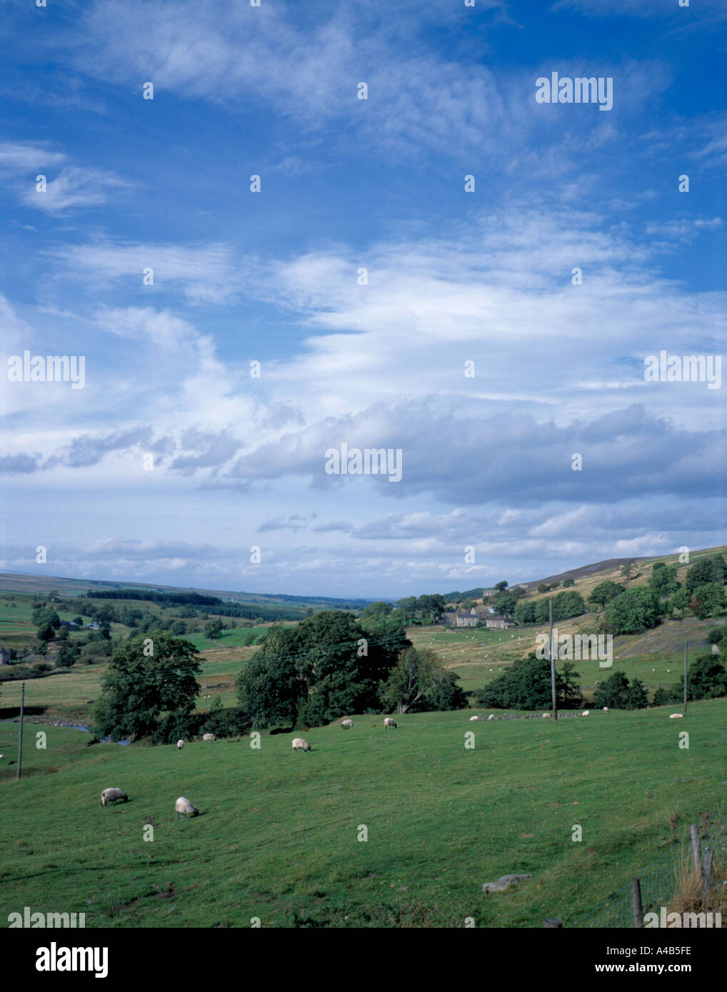 From allendale hi-res stock photography and images - Alamy