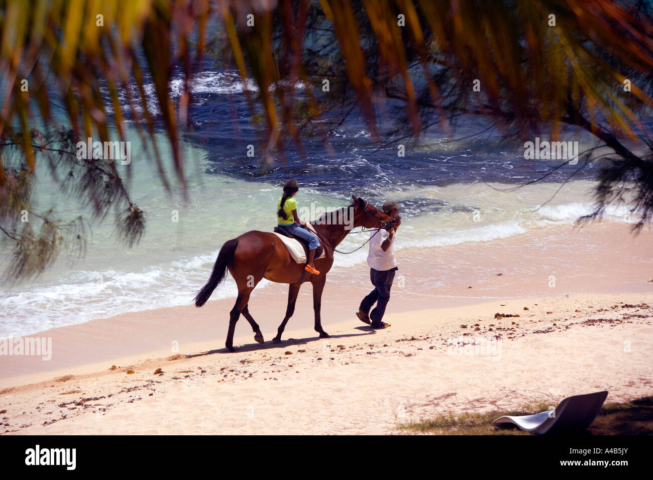 Pointe Coton High Resolution Stock Photography and Images - Alamy