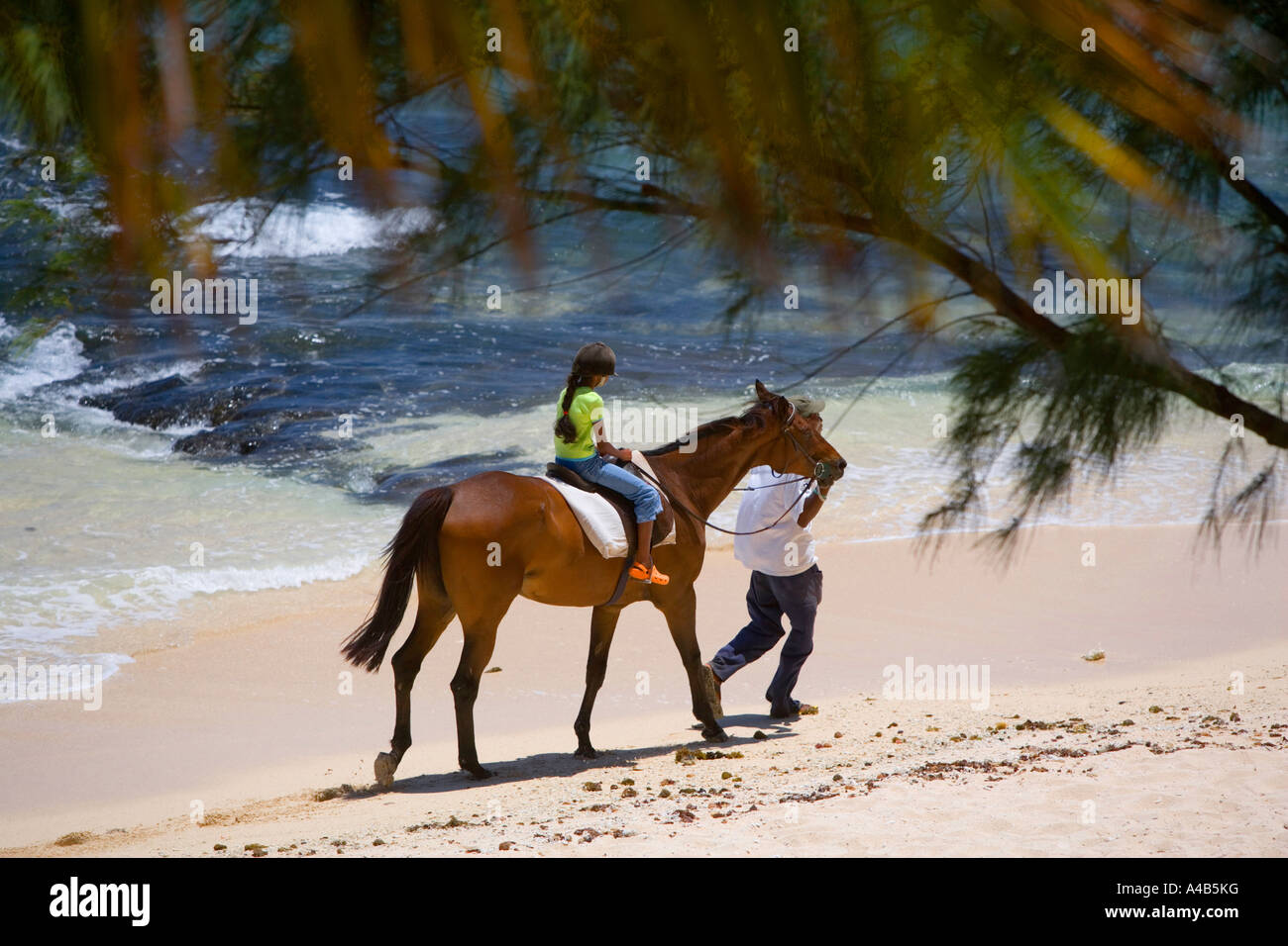 Travel destination delightful unusual relatively undiscovered tropical ...