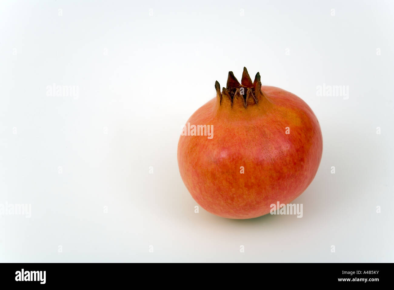 Single pomegranate on a white background viewed from above positioned ...