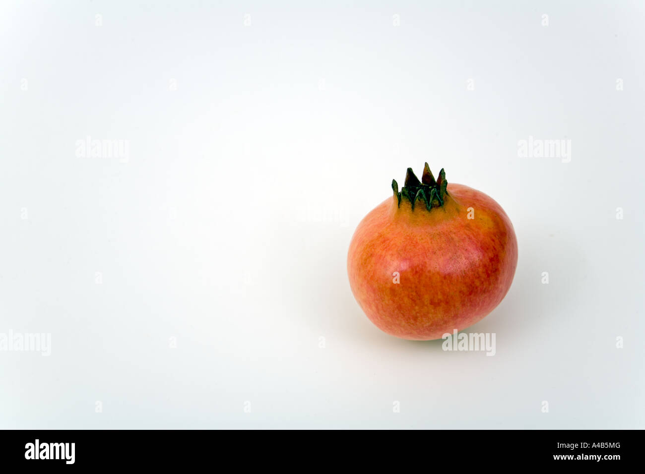 Single pomegranate on a white background viewed from above positioned ...