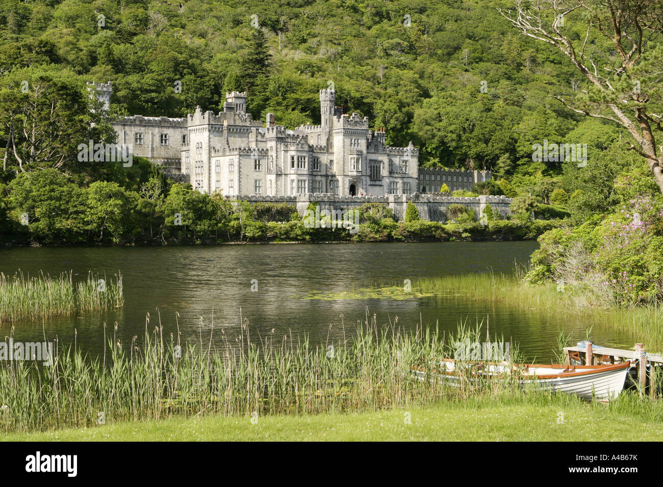 Country Castle In Ireland Stock Photo - Alamy