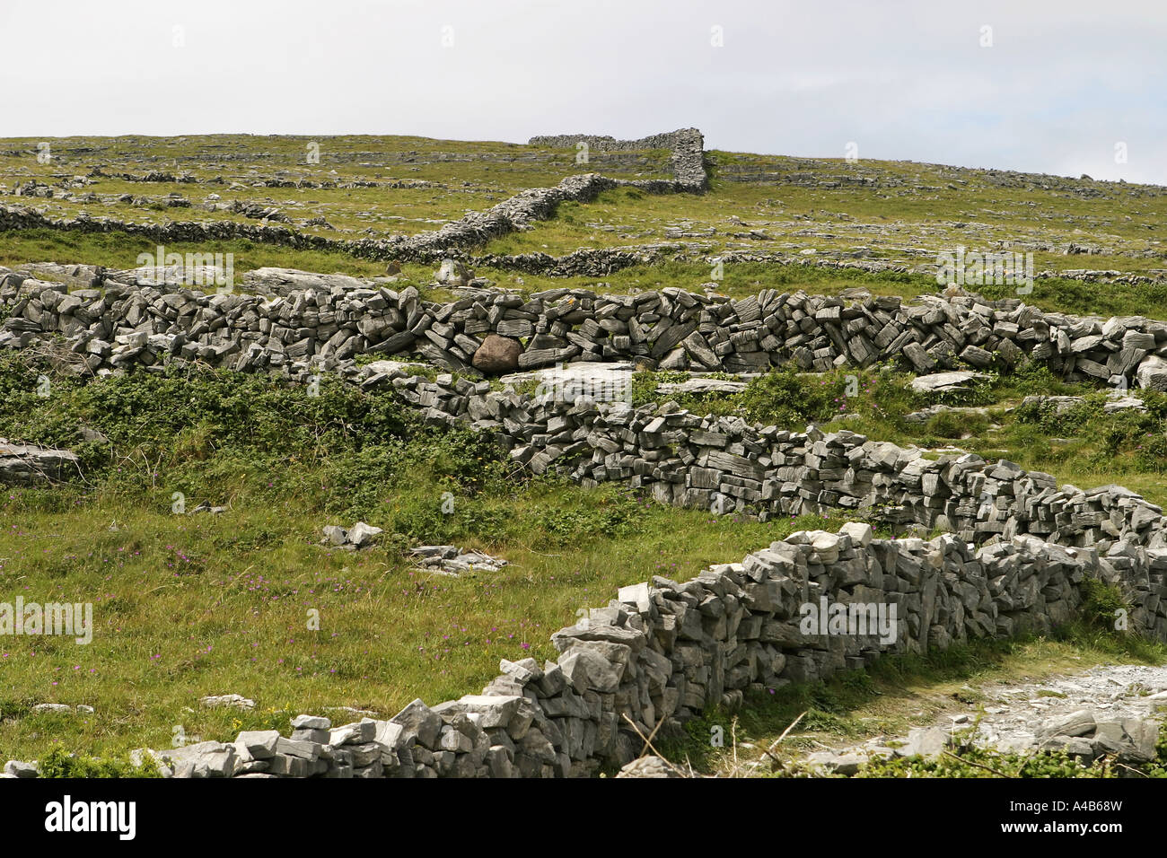 Stone Walls And Fields In Ireland Stock Photo - Alamy