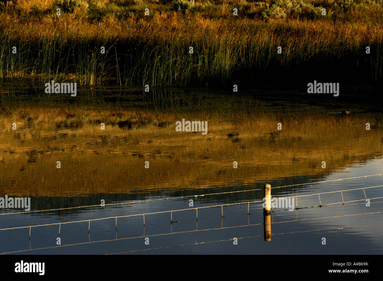 Cache Creek pond 2 Stock Photo - Alamy