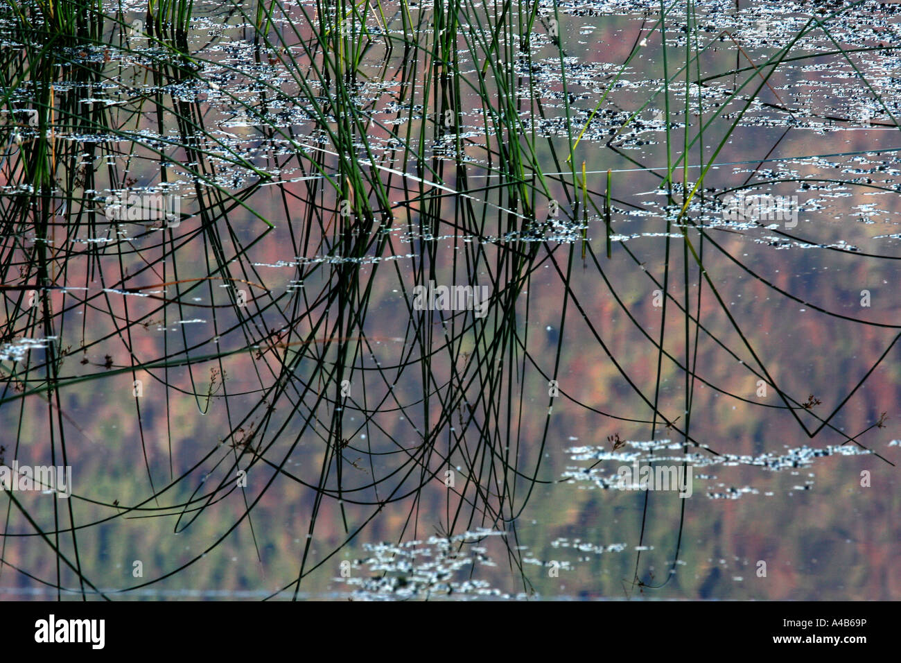 Cache Creek roadside pond Stock Photo - Alamy