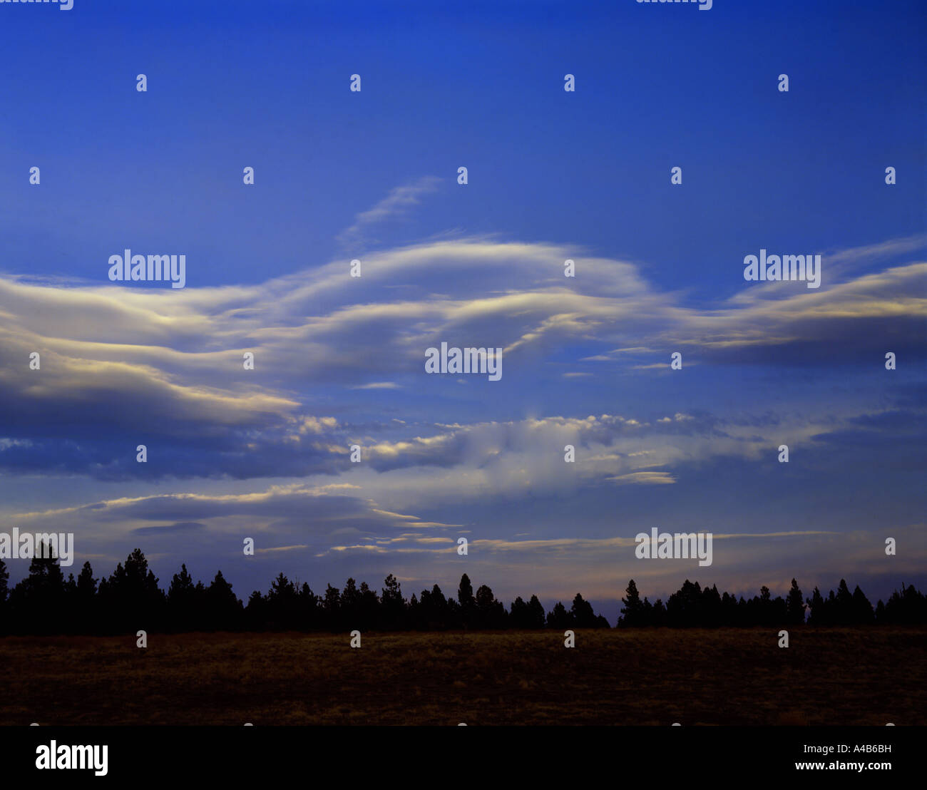 Lenticular shape hi-res stock photography and images - Alamy