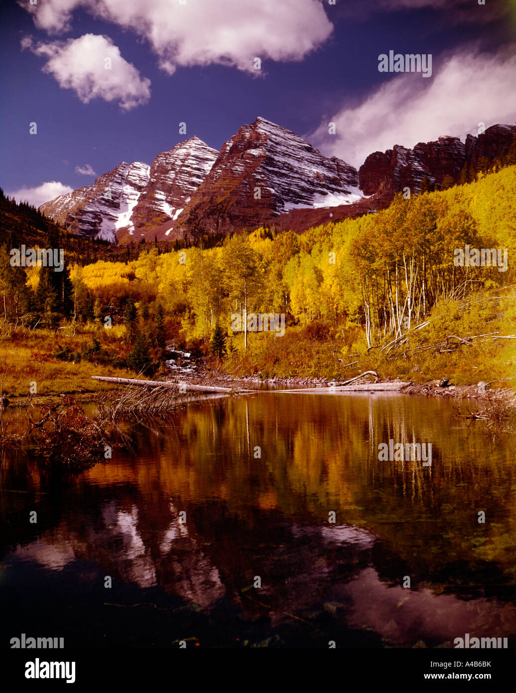 Near Aspen in Colorado the Maroon Bells peaks rise from Autumn tinged ...