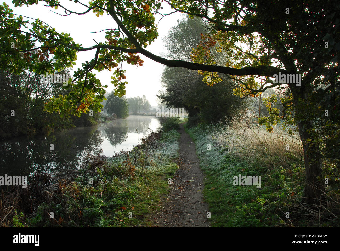 The River Chelmer at Little Baddow near Chelmsford in Essex Stock Photo ...