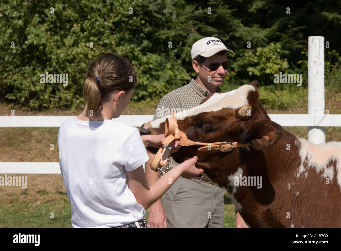 Girl showing a cow at the county fair Stock Photo - Alamy