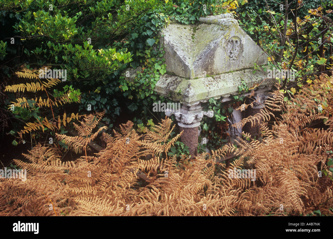 Overrun gravestone hi-res stock photography and images - Alamy