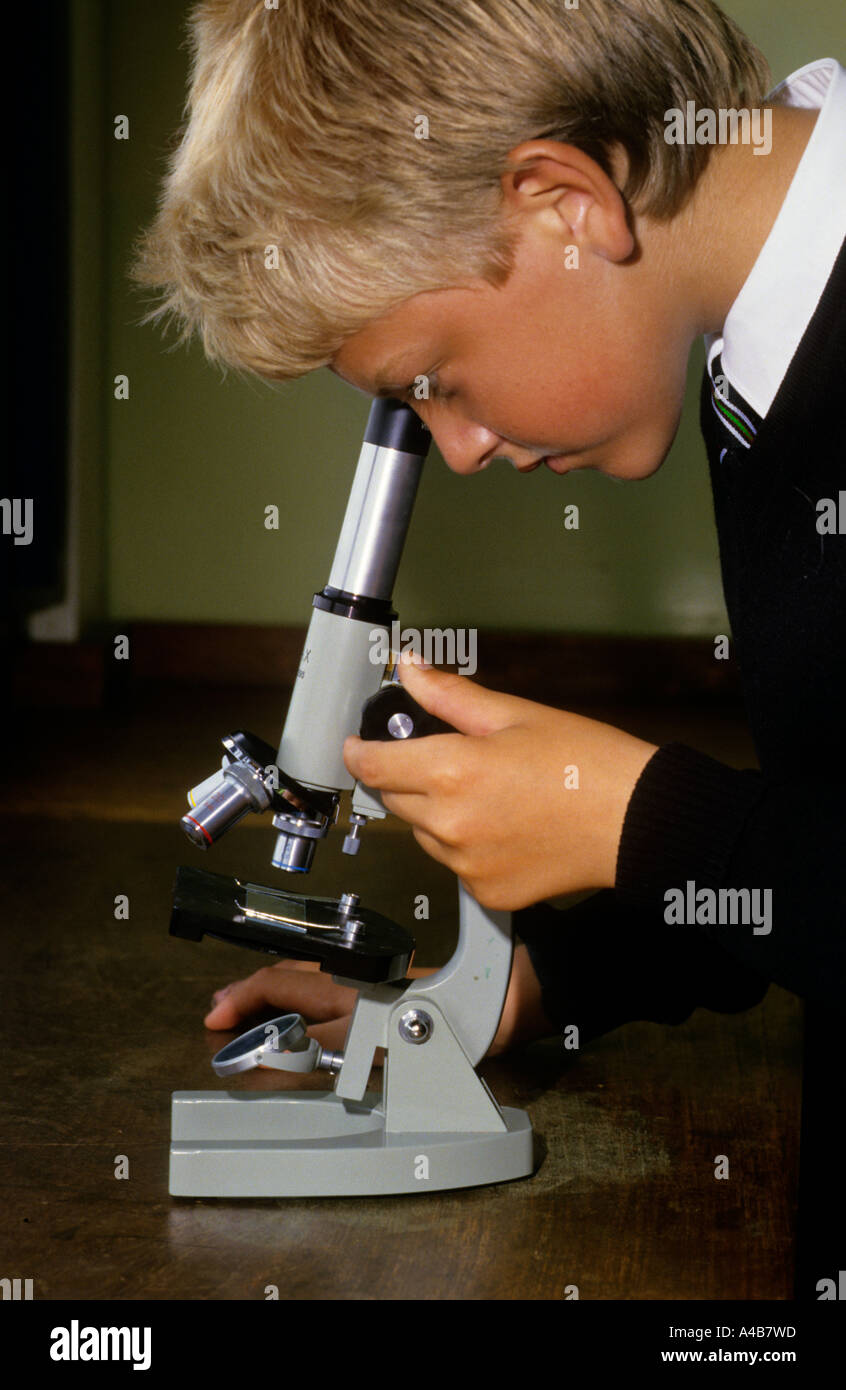 Boy using microscope in school science class Wales UK Stock Photo - Alamy