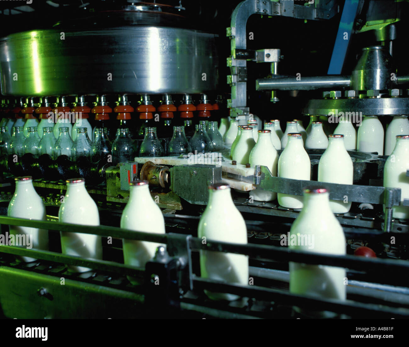 Milk bottles conveyor hi-res stock photography and images - Alamy