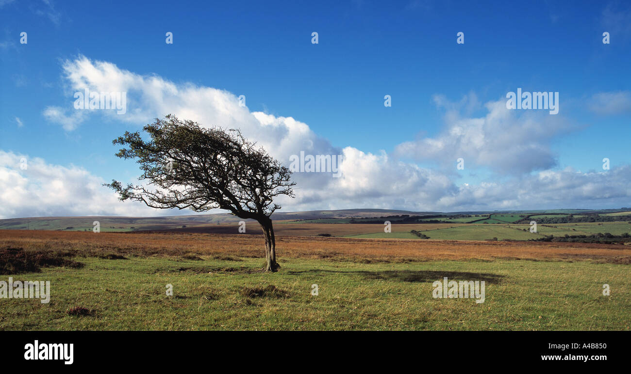 Shillstone hi-res stock photography and images - Alamy