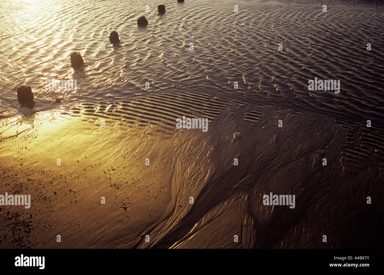 Close up of eroded groynes in rippling pool on beach with patterns in ...