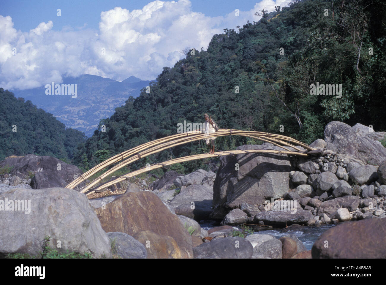 A simple but functional bridge made from Bamboo poles Dobhan Stock ...