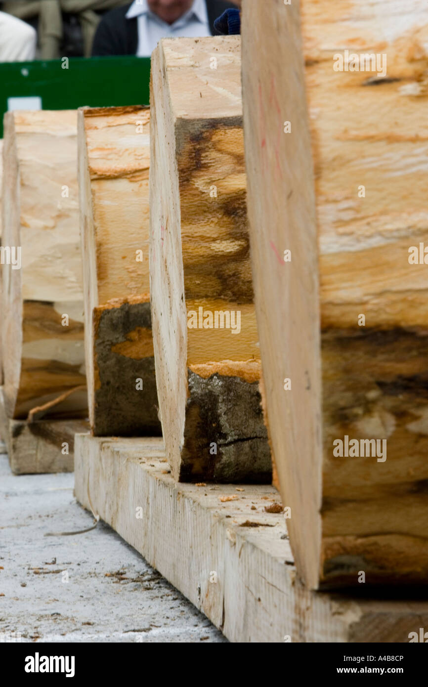 Row of logs, haizkolaritza (tree hacking) competition, Basque Strongman ...