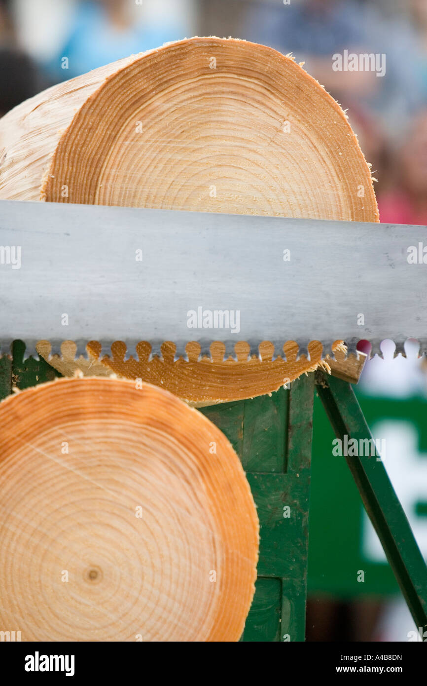 Saw cutting through log, trontzalaritza (log sawing) competition ...