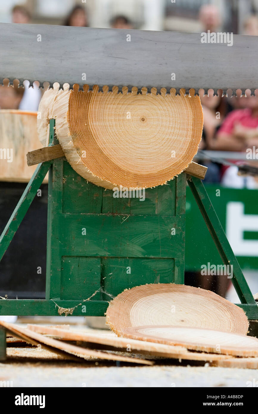 Saw cutting log, trontzalaritza (log sawing) competition, Basque ...