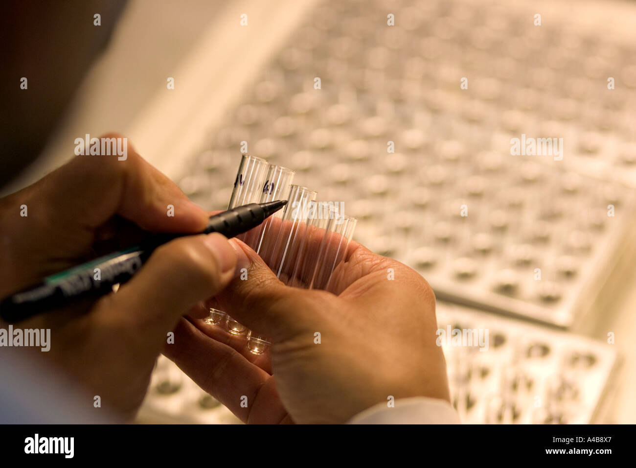 Sample medical research imperial college hi-res stock photography and ...