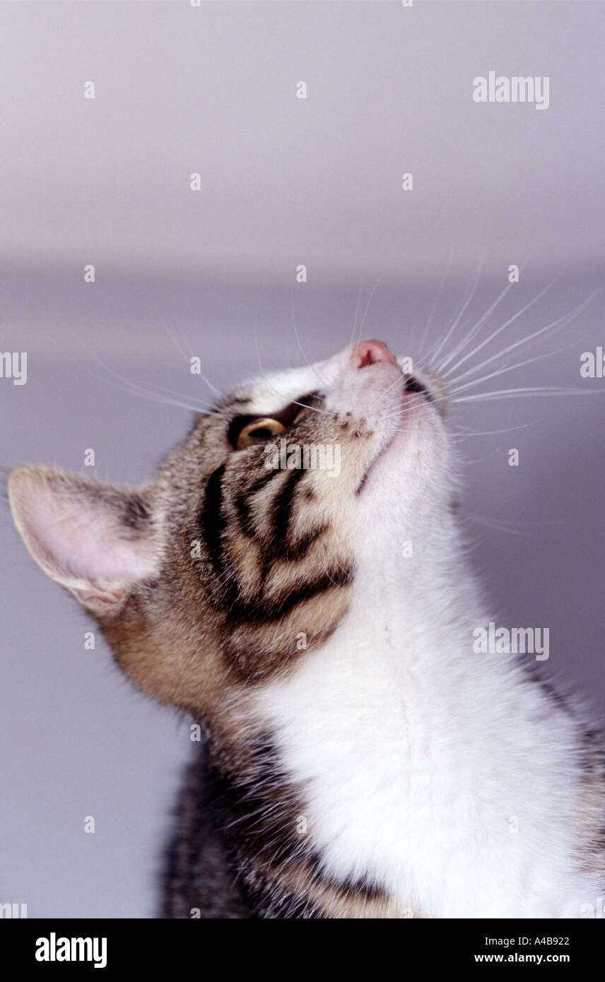 Be hopeful of hi-res stock photography and images - Alamy