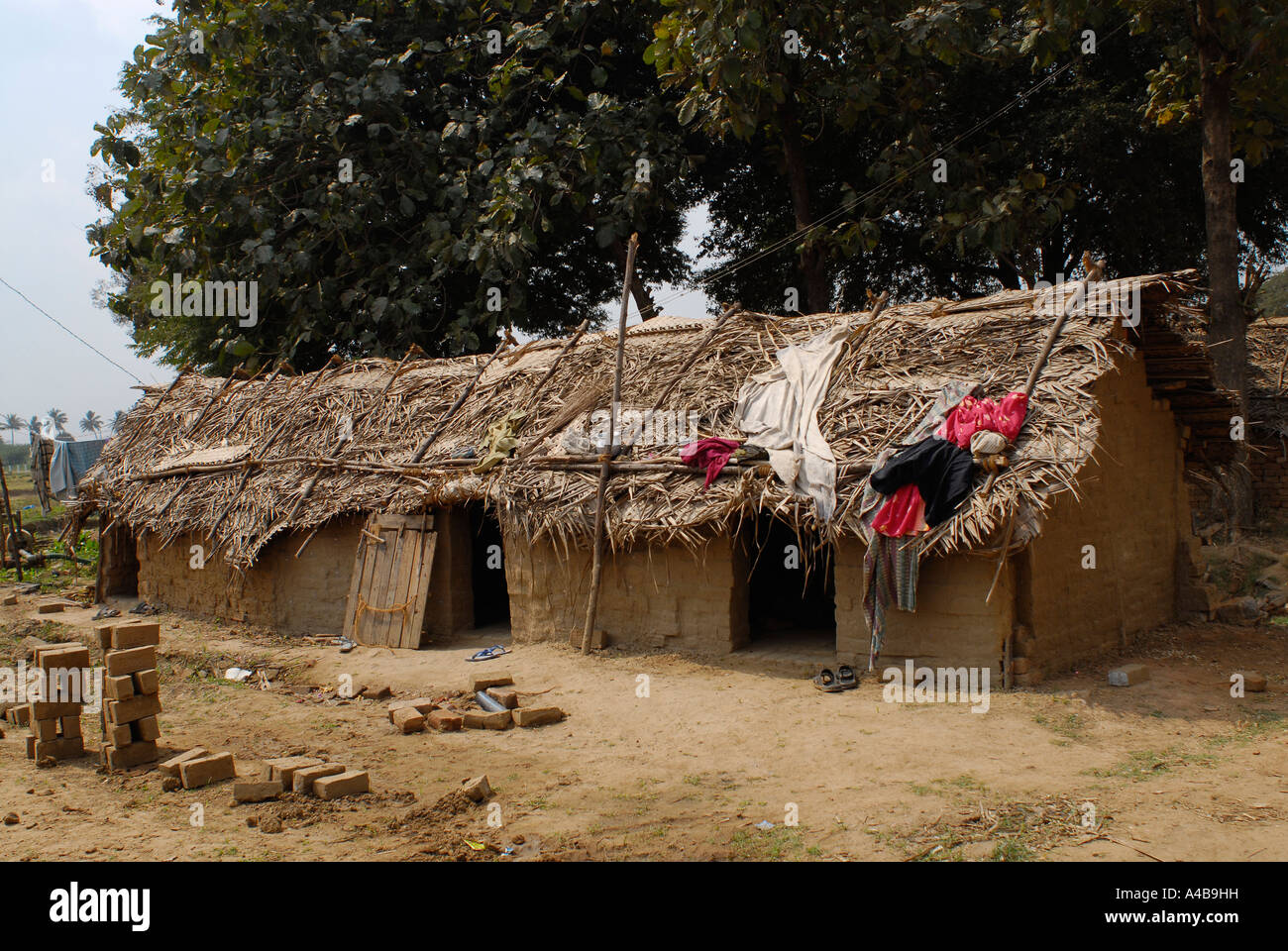 Dalit hi-res stock photography and images - Alamy