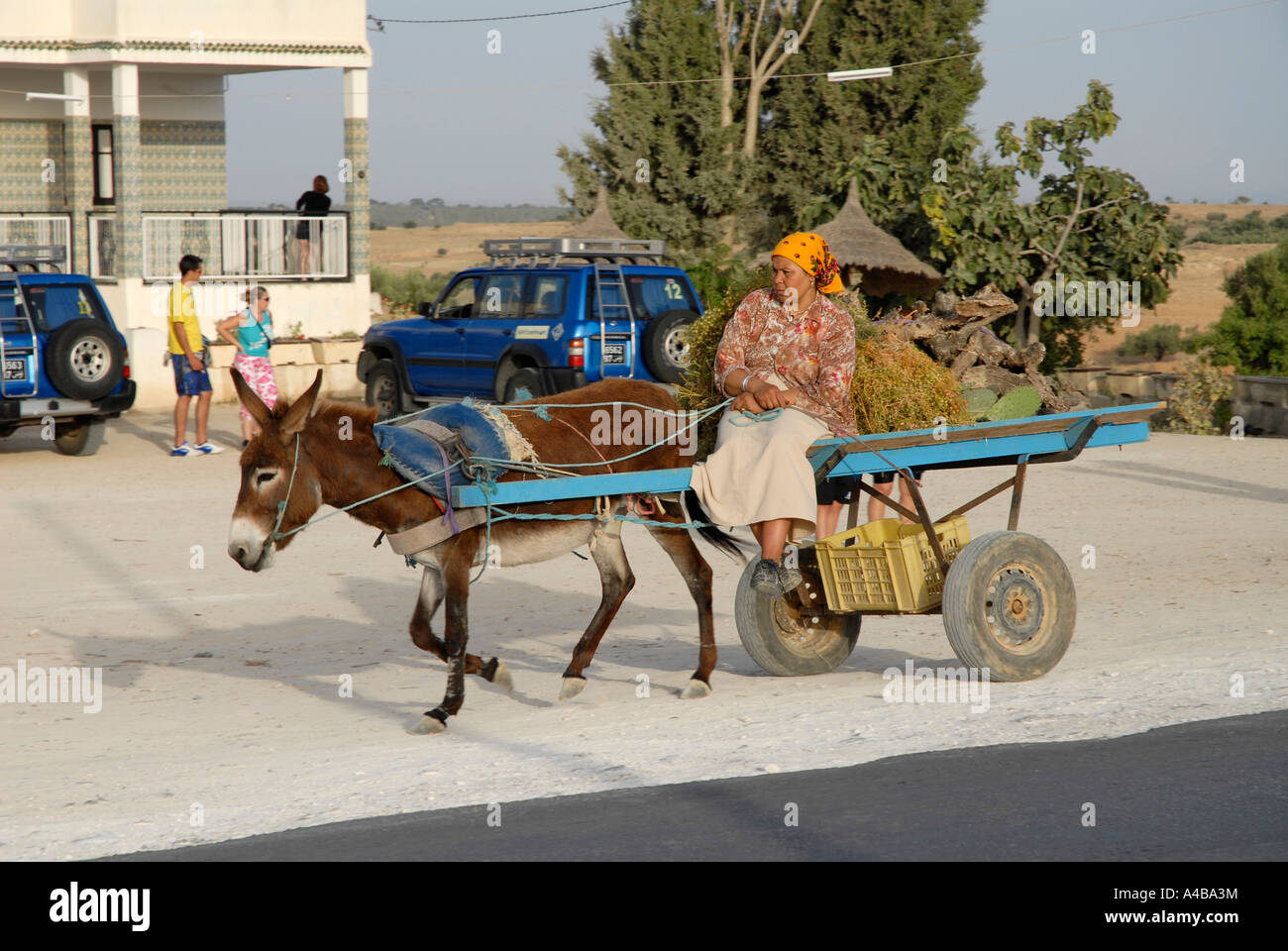 Donkey drawn cart hi-res stock photography and images - Alamy