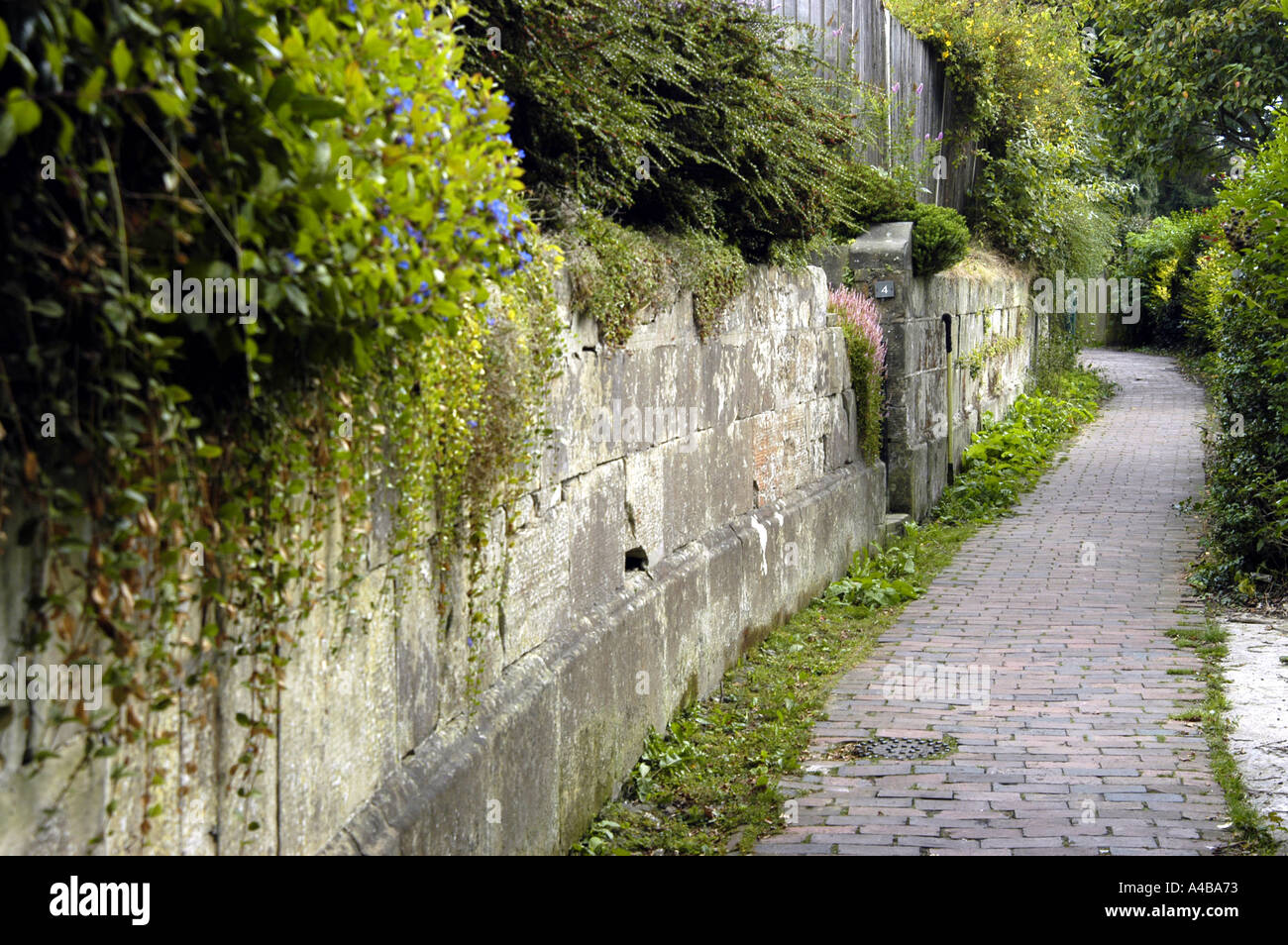 Cumberland Walk is a pretty footpath along the back of old houses ...