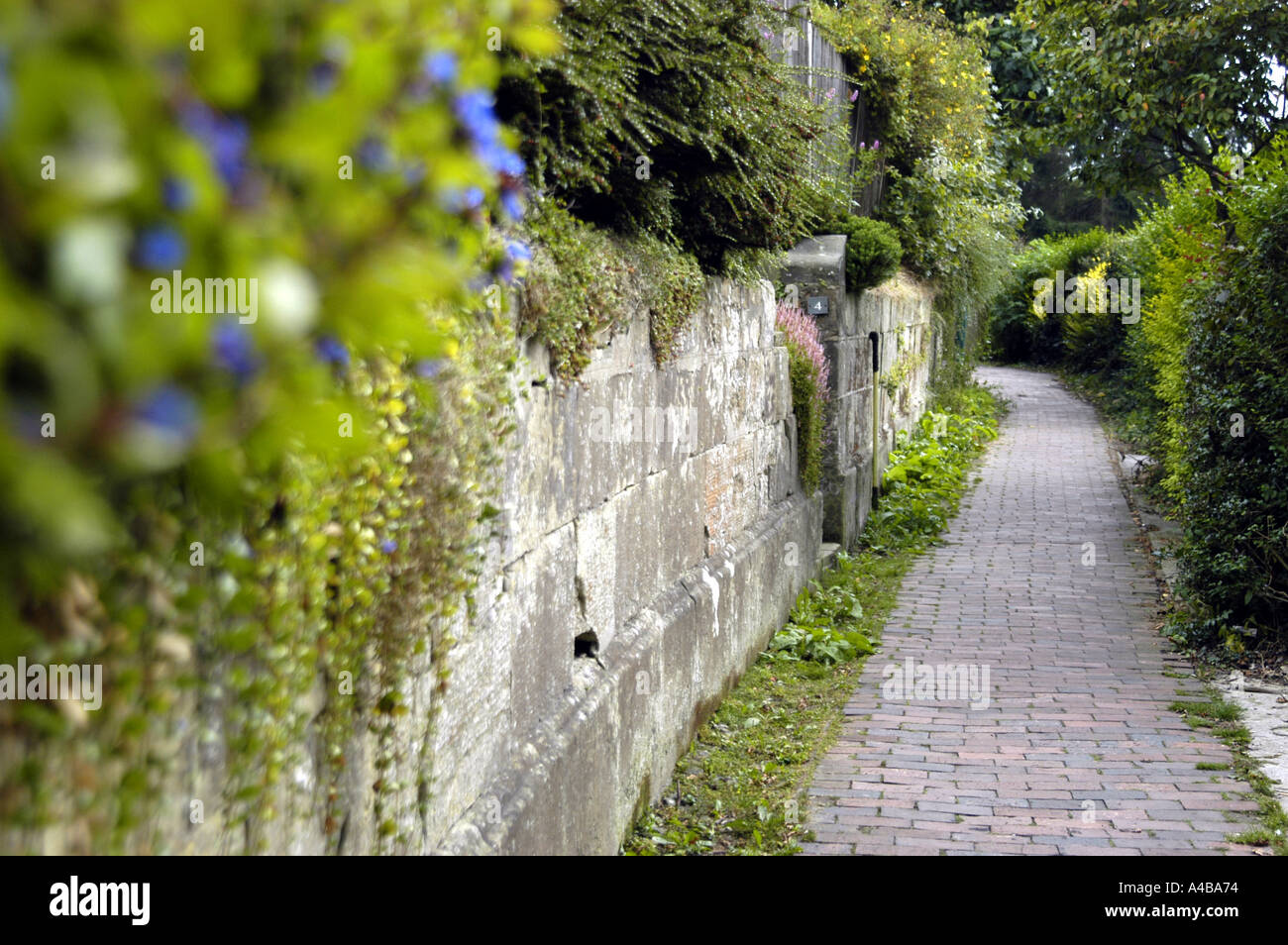 Cumberland Walk is a pretty footpath along the back of old houses ...