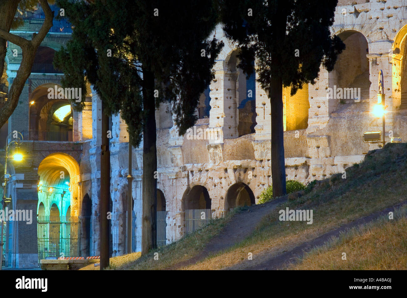 Rome, Coliseum, view with cypress trees and artificial lights on Stock ...