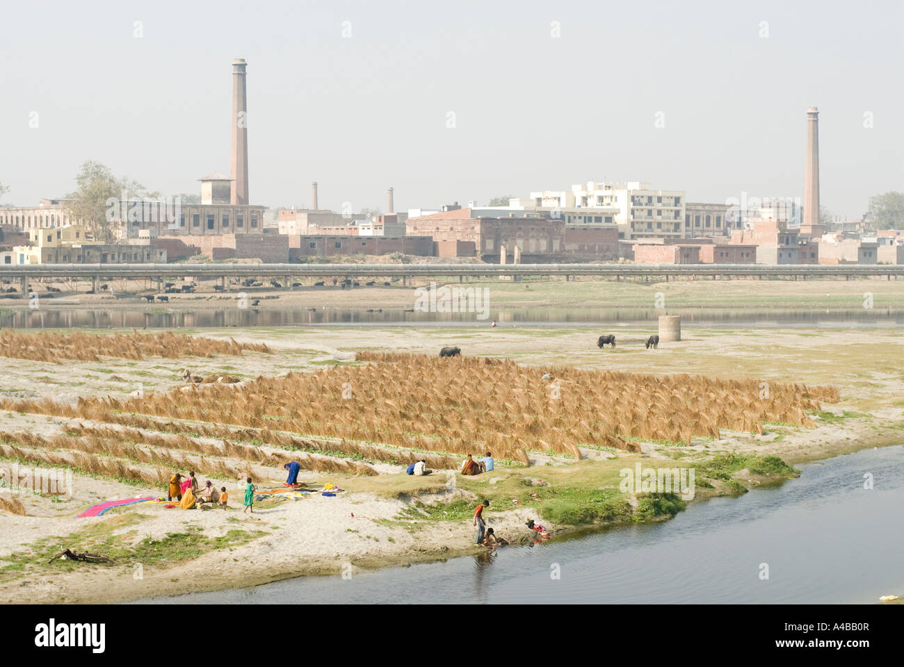 Indian peasants hi-res stock photography and images - Alamy