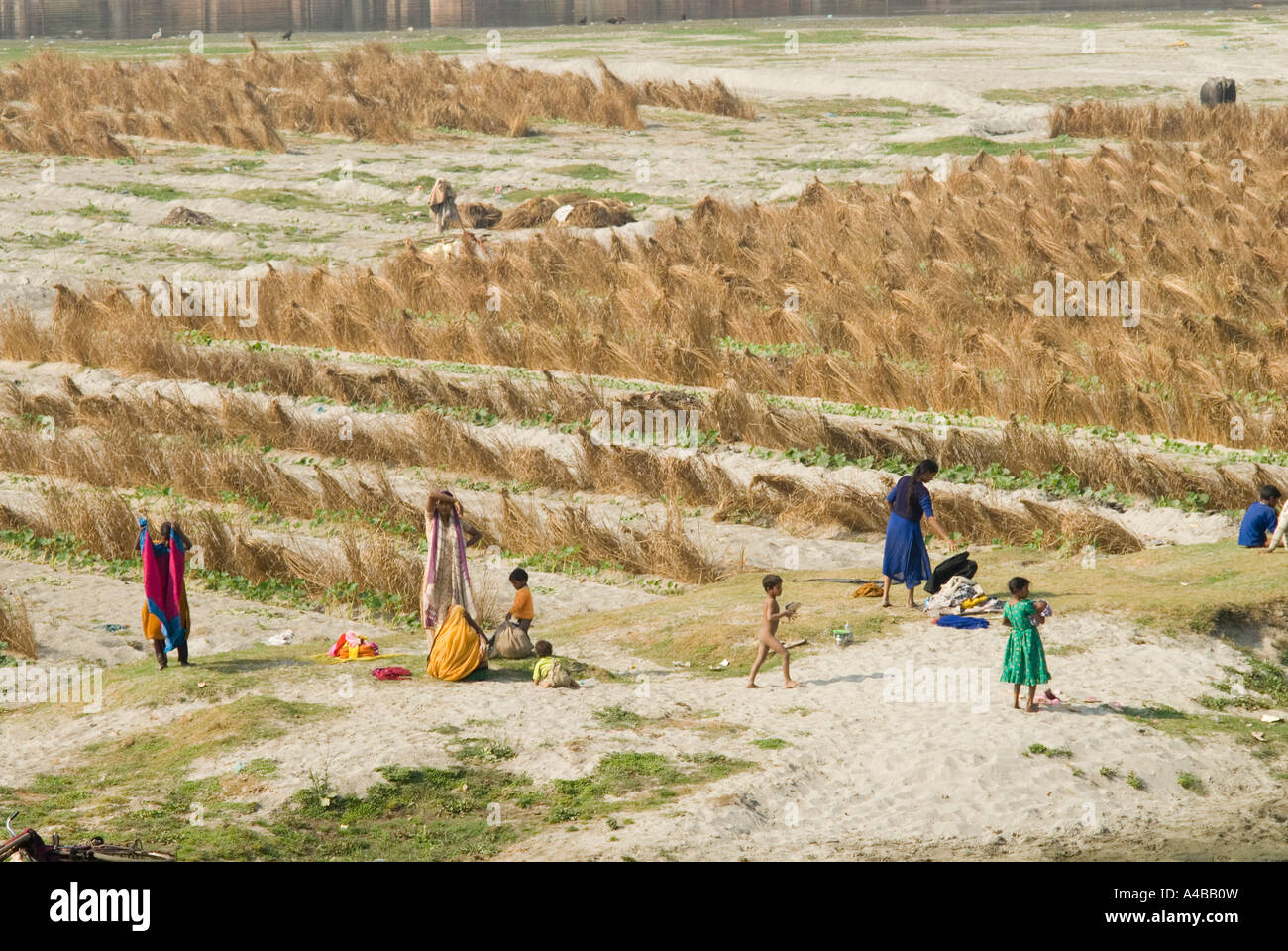 Indian rural peasants hi-res stock photography and images - Alamy