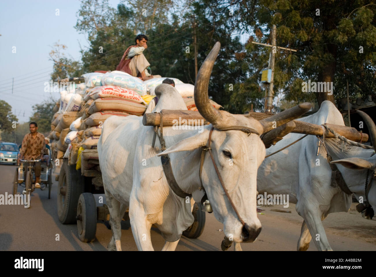 Ox cart india hi-res stock photography and images - Alamy