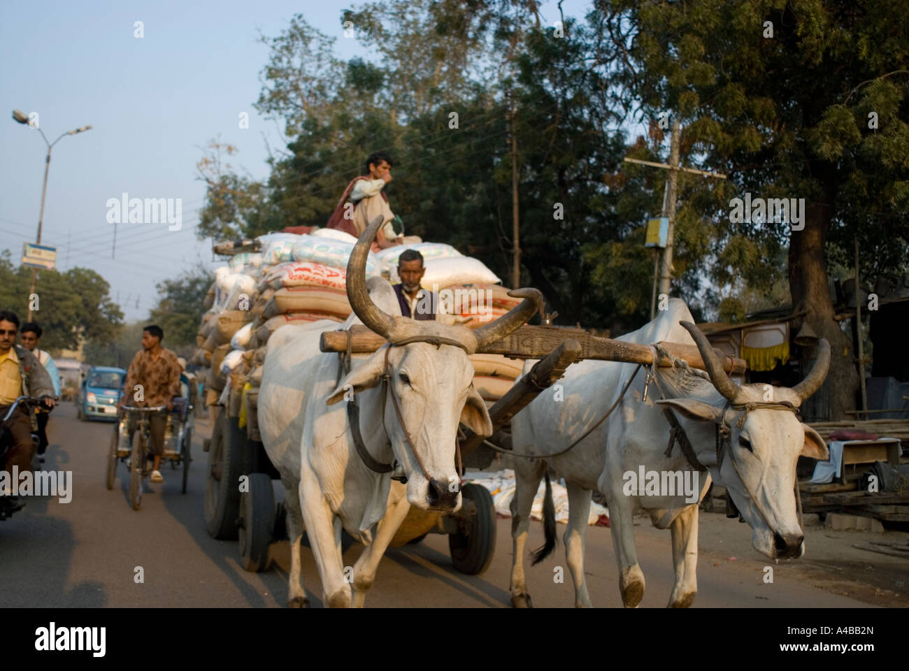 Ox cart india hi-res stock photography and images - Alamy