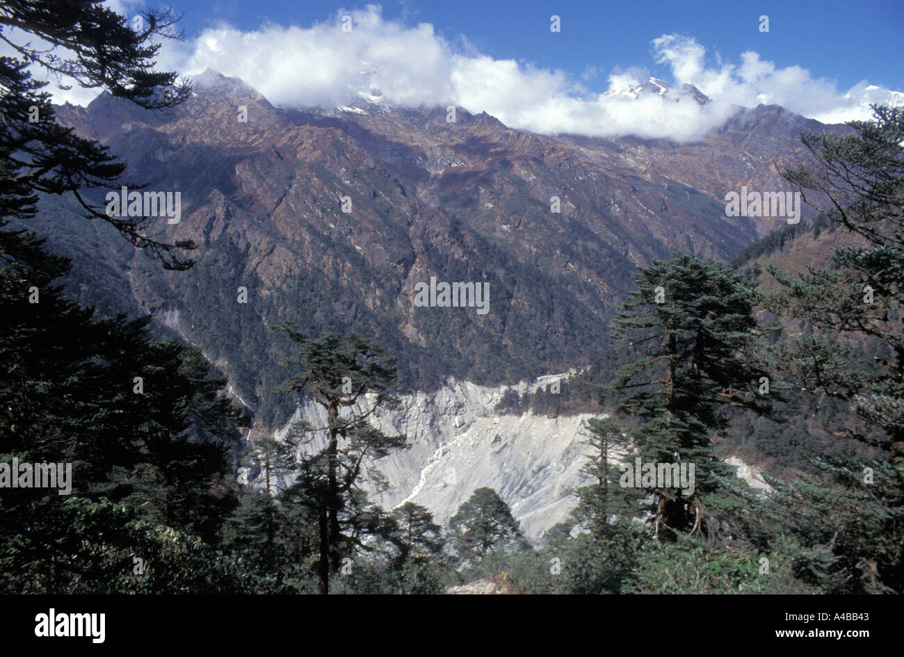 Natural landslip hi-res stock photography and images - Alamy