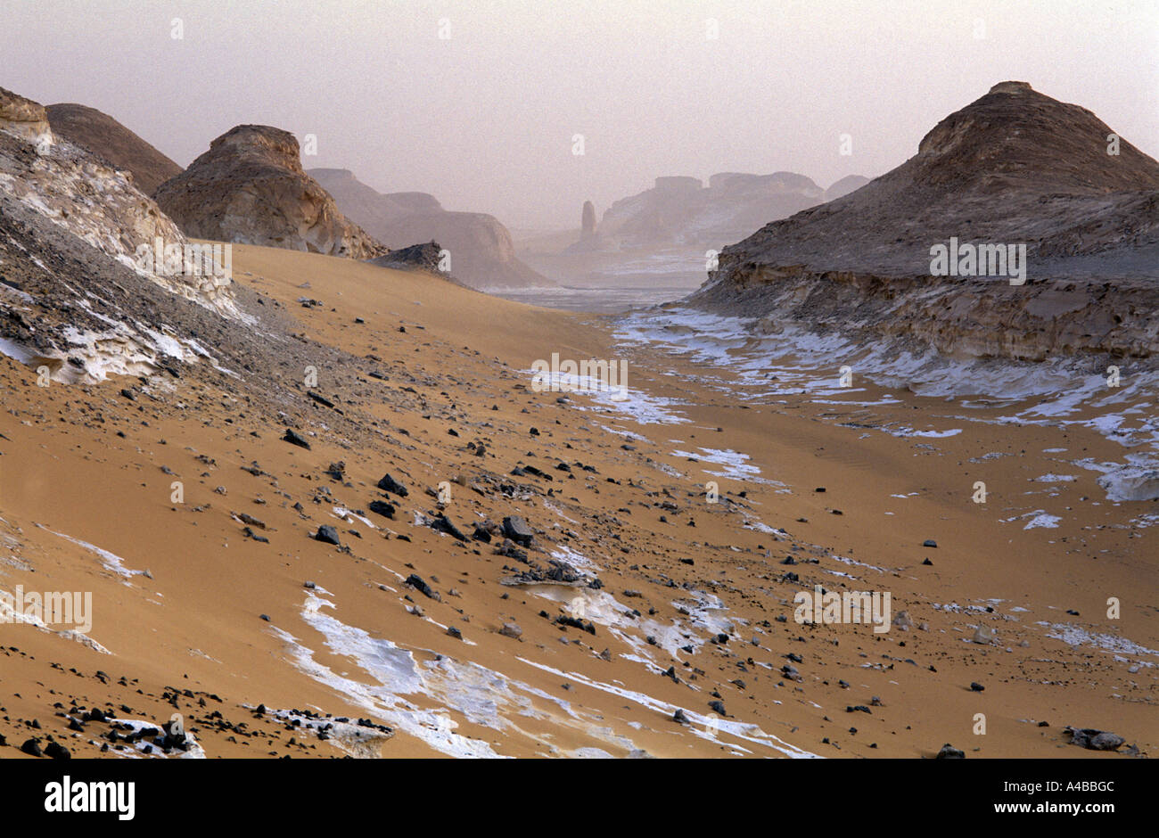 Sand and limestone in the bizarre landscape of the Western Desert el ...