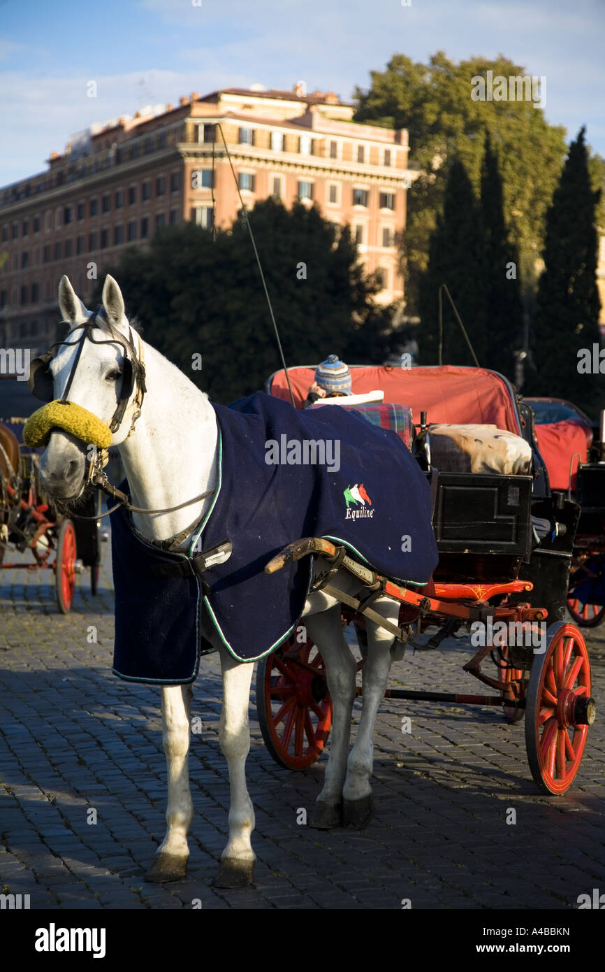 Italy rome colosseum horse carriage hi-res stock photography and images ...