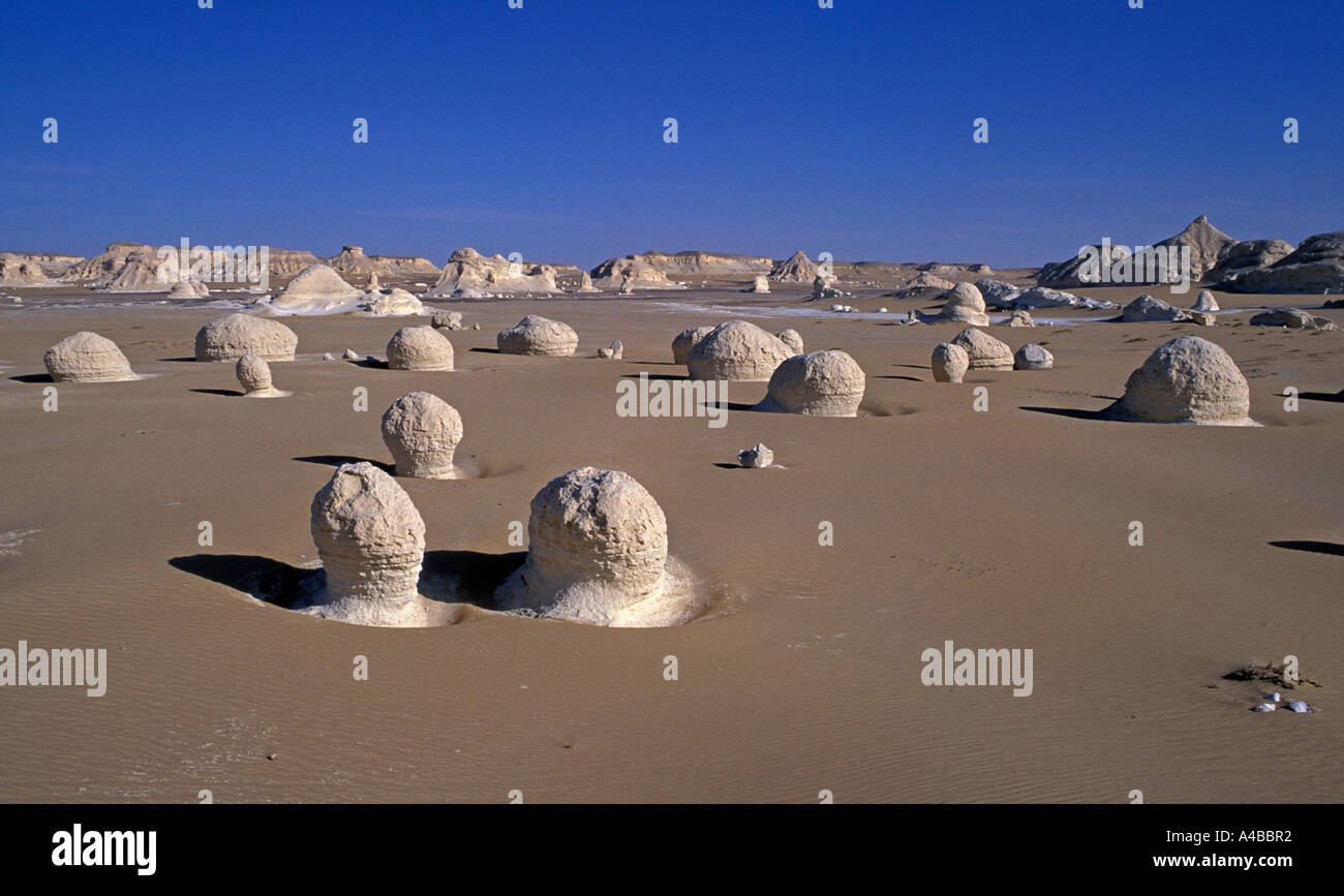 Bizarre limestone formations in the White Desert Libyan Desert Egypt ...