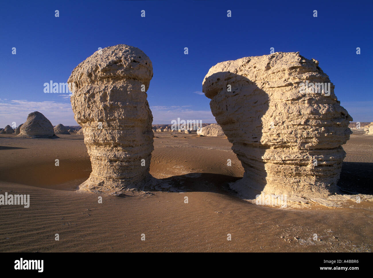 Bizarre limestone formations in the White Desert Libyan Desert Egypt ...