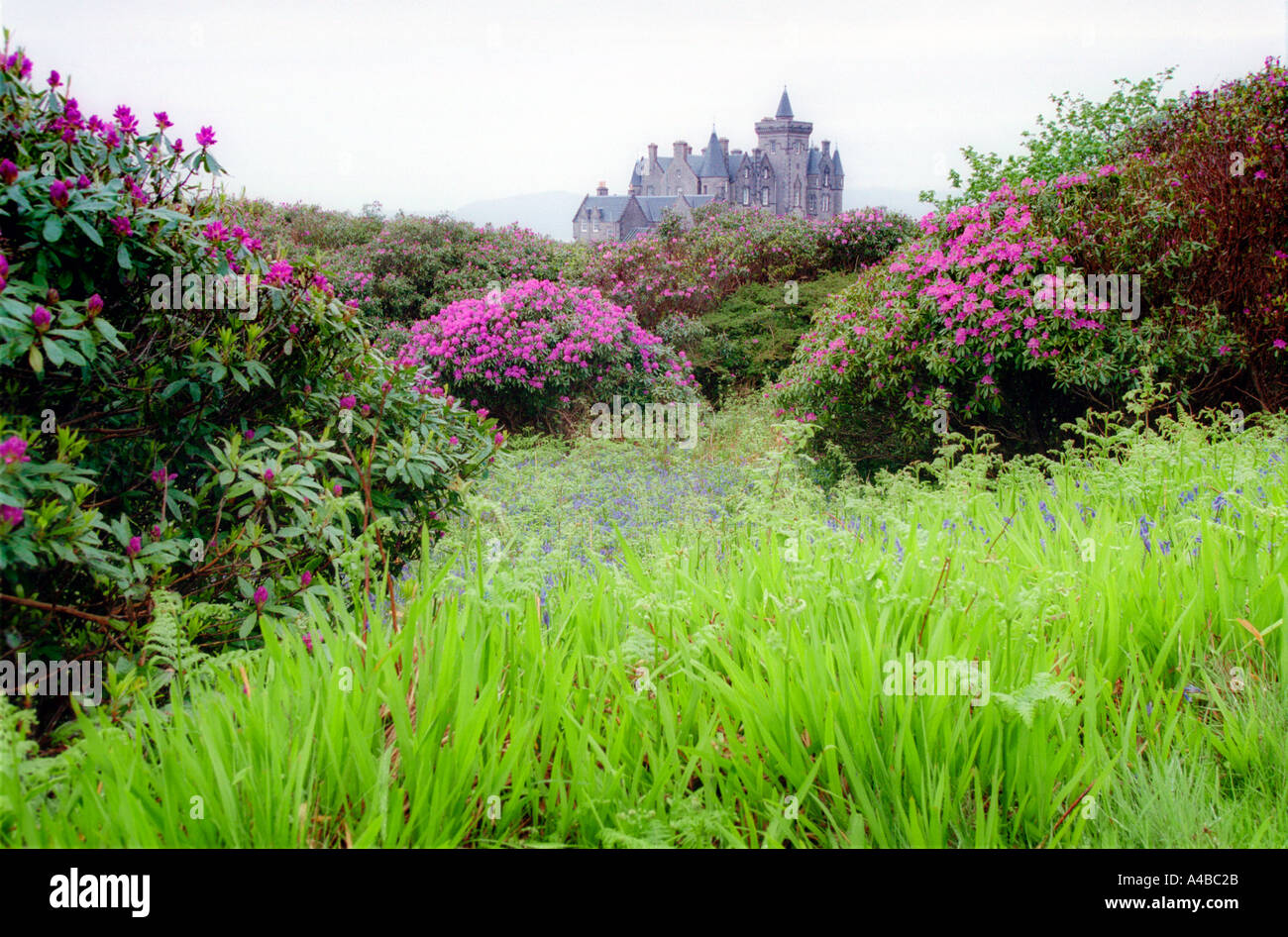 Glengorm Castle Isle of Mull Scotland Stock Photo - Alamy